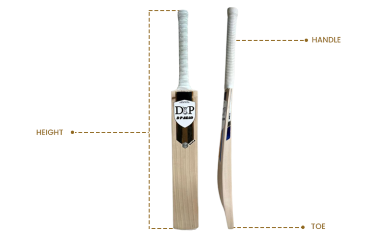 Cricket Bat Size Chart & Guide: Find Your Perfect Fit Today