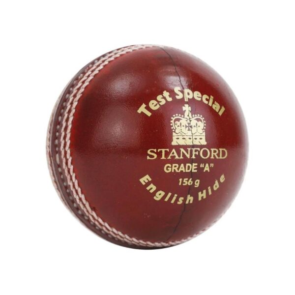 SF Test Special Leather Ball - DP Azad Sports